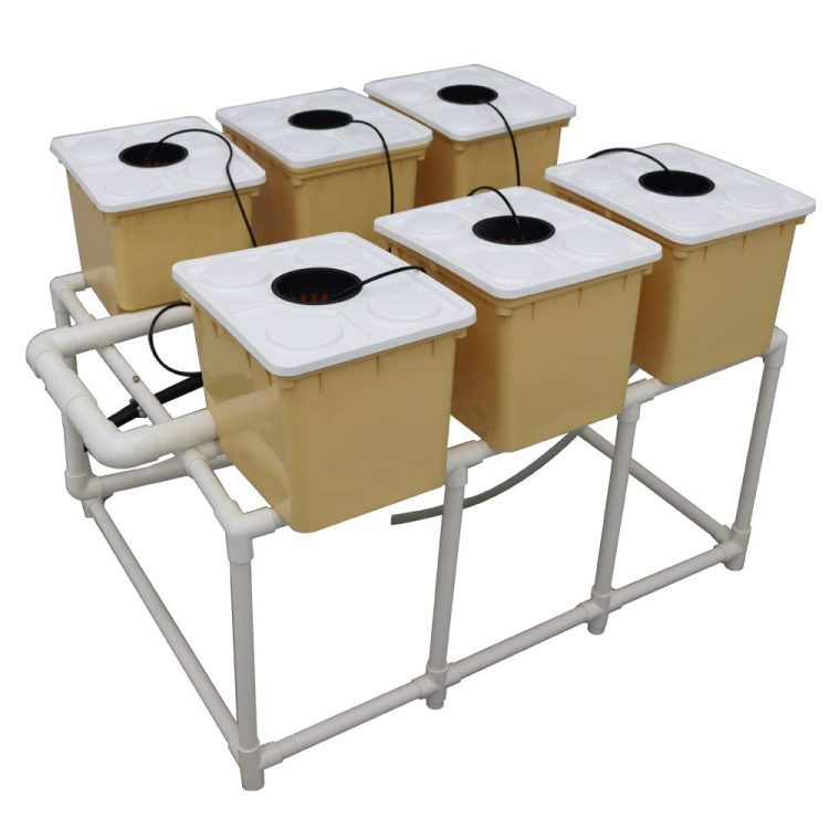 INTSUPERMAI Hydroponic Dutch Bato Bucket Grow System 6 Box Growing Kit ...