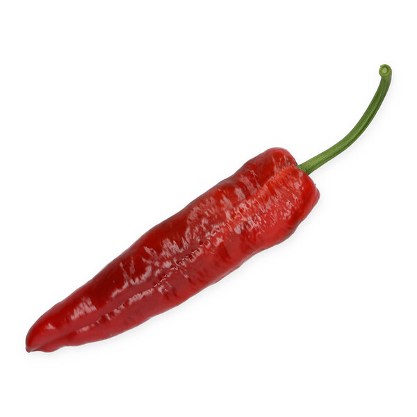 PALERMO RASHFORD RZ F1 – Gulf Hydroponic Agriculture