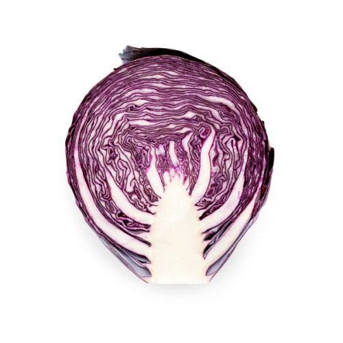 RESIMA RZ F1 – Gulf Hydroponic Agriculture